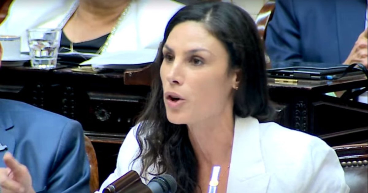 Caletti En El Debate De La Ley ómnibus Pidió Por El Blanqueo Y Que