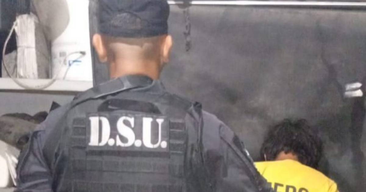 Cuando el robo ignora el riesgo: se llevó un caño de gas y comprometió ...