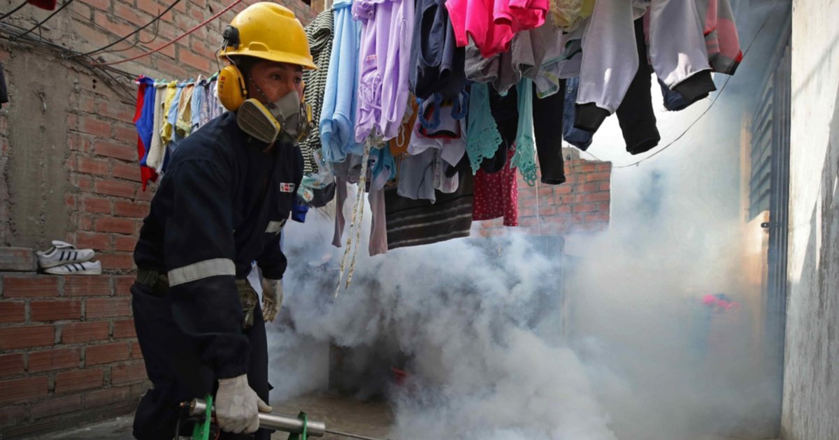 Perú Declarará La Emergencia En 20 Regiones Por El Dengue