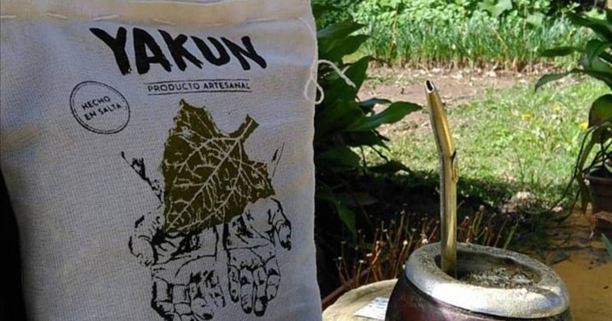 Qué es el yacón y qué propiedades se le conocen