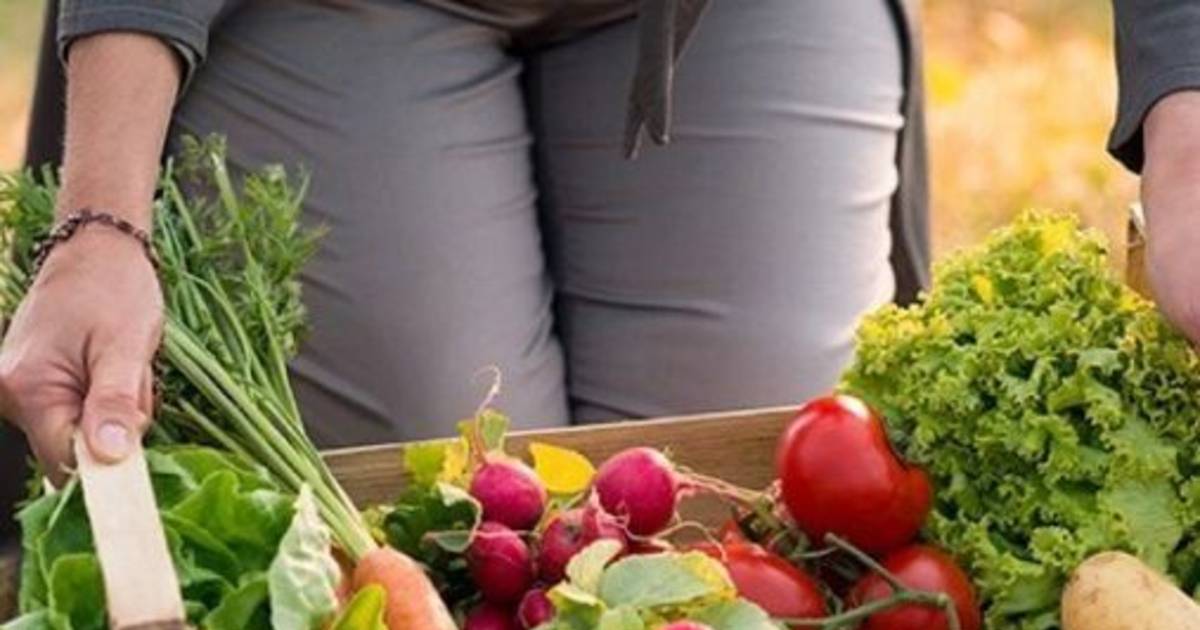 En Mayo Los Consumidores Pagaron En Góndola Casi 3 Veces Promedio Que El Valor De Origen