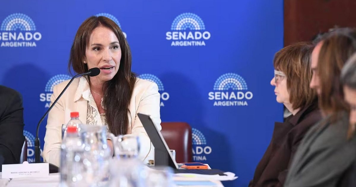 Quién es María Verónica Michelli, la jueza que abrió una grieta entre ...