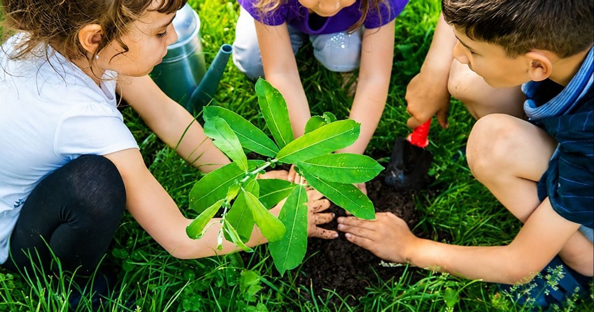 Jornada ambiental en Cerrillos: invitan a los niños a plantar arbolitos ...