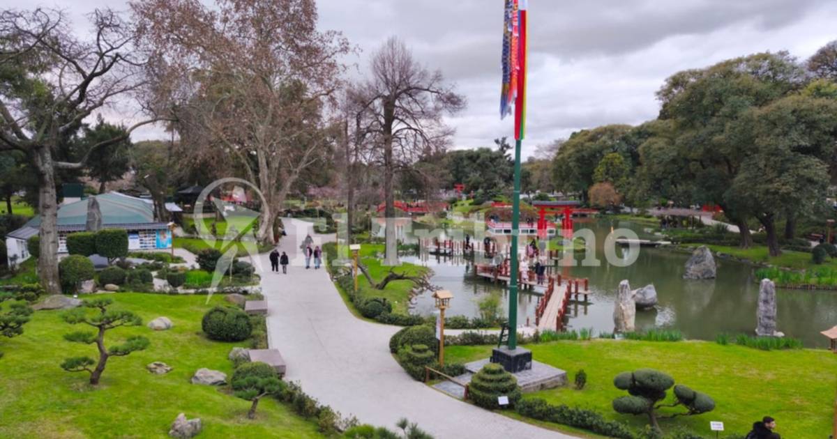 Un viaje a Japón, pero en Buenos Aires: guía para visitar el Jardín Japonés de Palermo