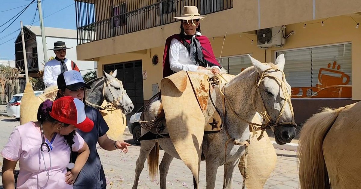Riguroso control de la salud de los caballos en un desfile